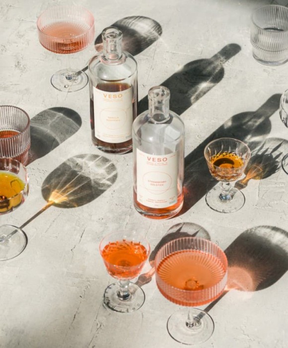 VESO Promo Codes - Up to 10% OFF in April 2024